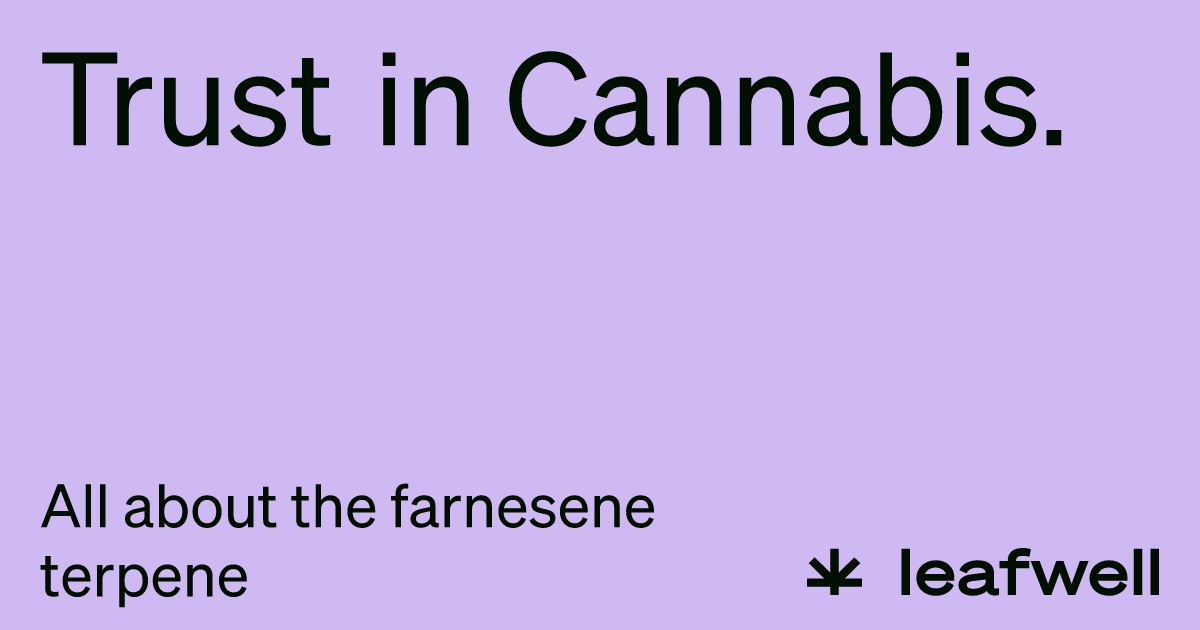 What is farnesene? Benefits, uses, risks, and more