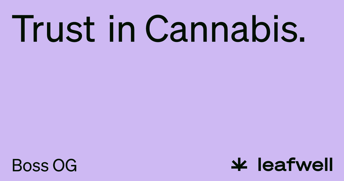 Boss OG Marijuana Strain, AKA Boss Kush - Leafwell