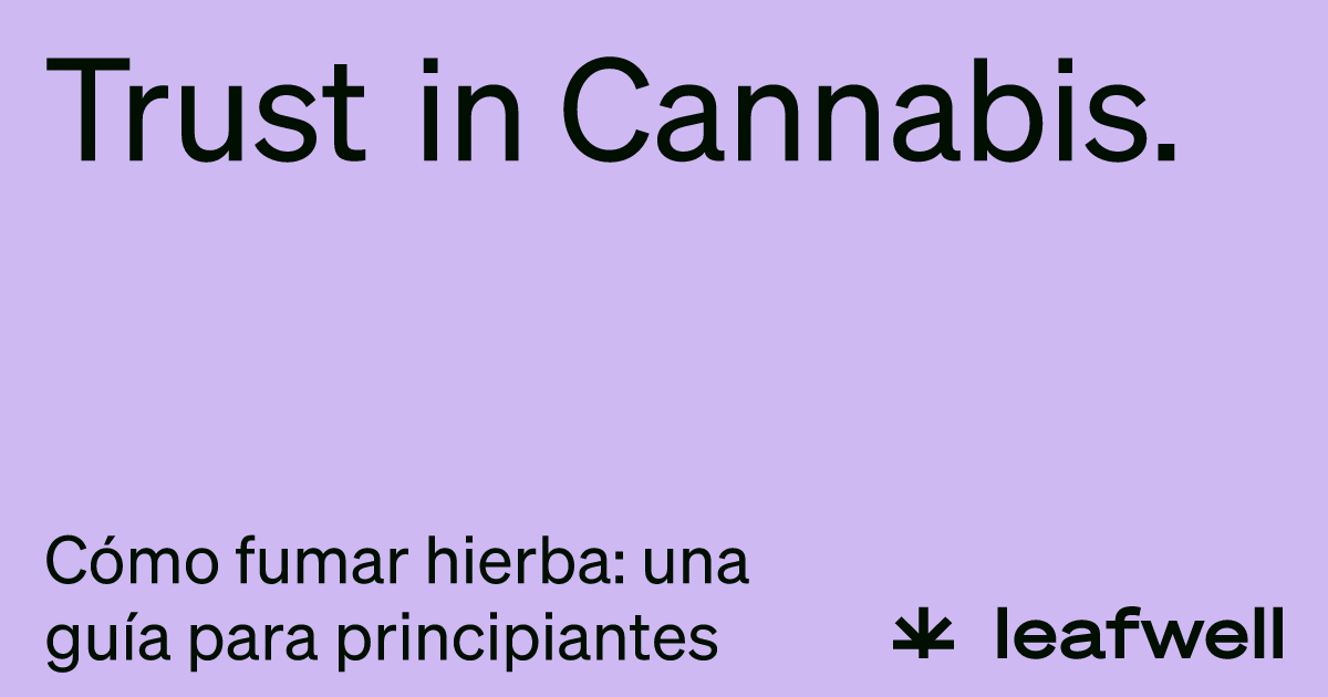 Cómo fumar hierba: guía para principiantes - Leafwell